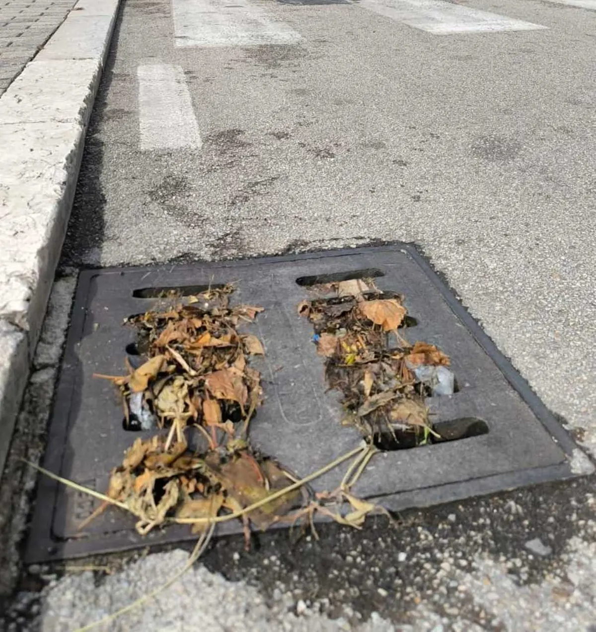 Masci: un mese di pioggia in 3 ore, dall’opposizione polemiche inutili ... Masci: un mese di pioggia in 3 ore, dall’opposizione polemiche inutili ...
