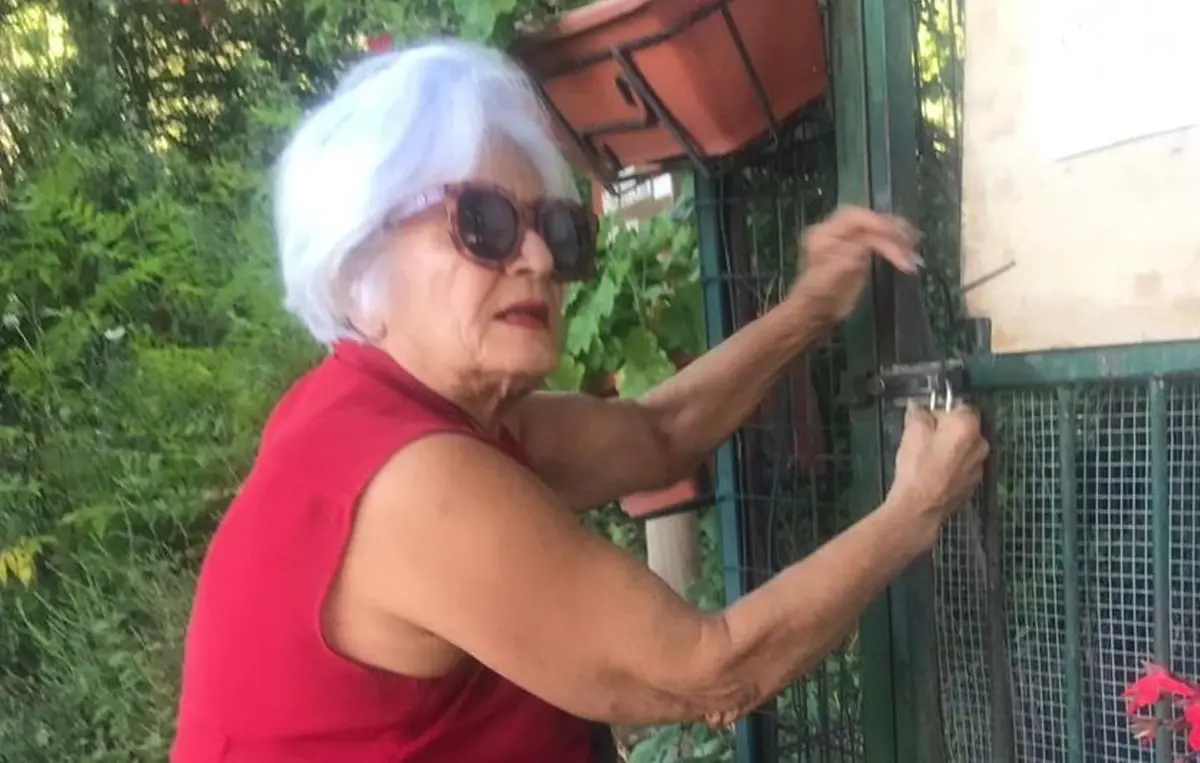 Rifugio per cani, ordinato lo sgombero | Il Centro