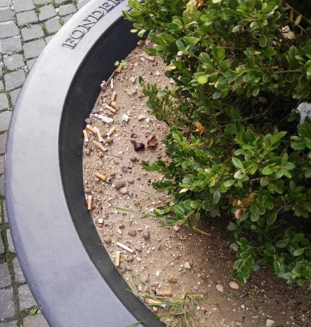 Cicche e cartacce nelle nuove fioriere | Il Centro